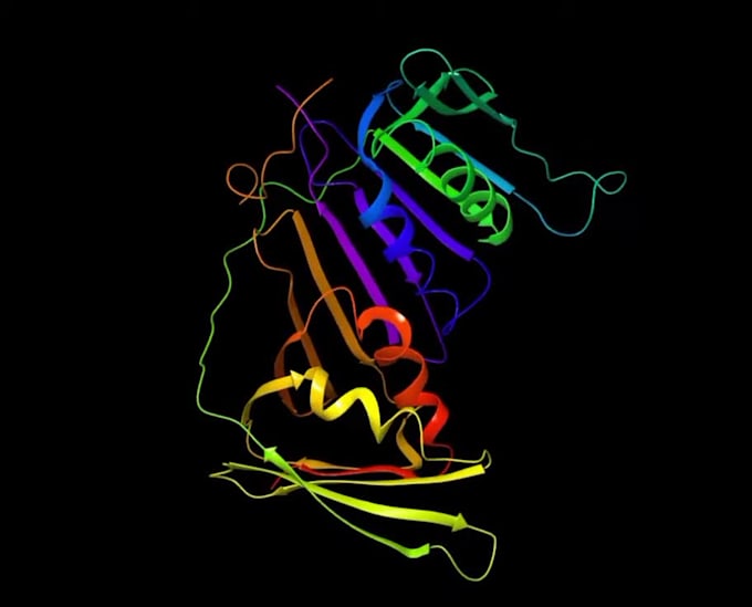 Provide molecular dynamics simulation services by Joseph1040 | Fiverr