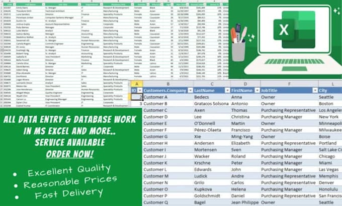 Do accurate database entry in excel spreadsheets and more by Kashifimtiaz789 | Fiverr