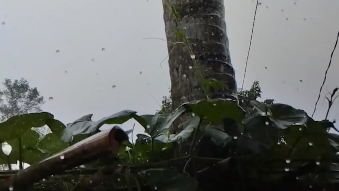 Give you natural photography at cheaper rate by Walid13579 | Fiverr