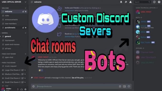 Setup best custom discord server by Nicksabrina | Fiverr
