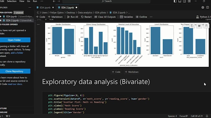 Do your data analysis, visualization and data organizing using python by Felipeojalvo | Fiverr