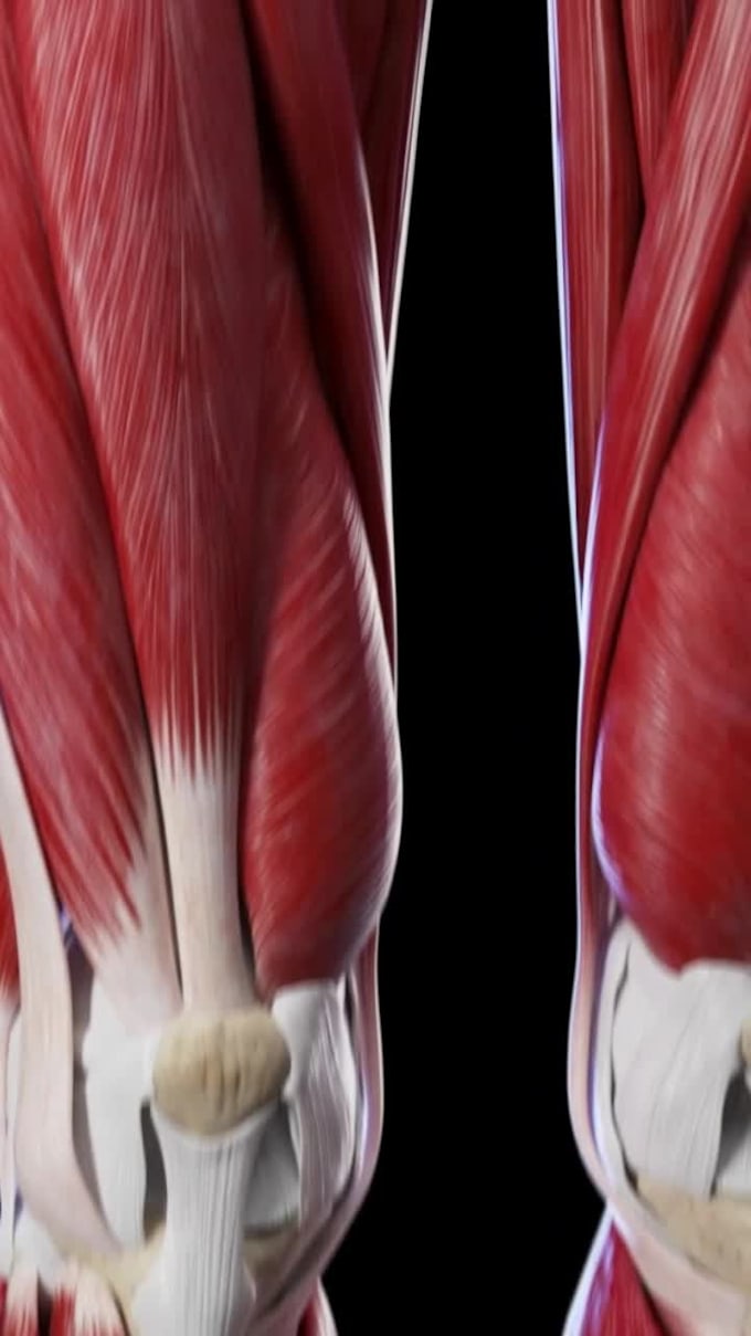 Create 3d, 2d medical animation, medical explainer and medical video ...