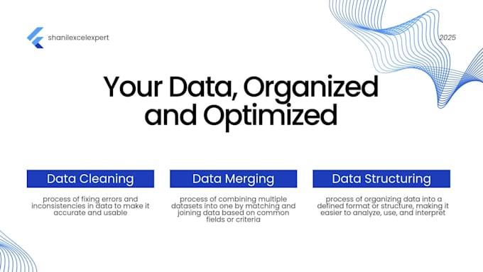 Cleaning, merging, and structuring data by Mhd_shanil | Fiverr