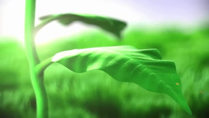 Create realistic 3d cgi plant animation, 3d flower animation, cgi plant ...