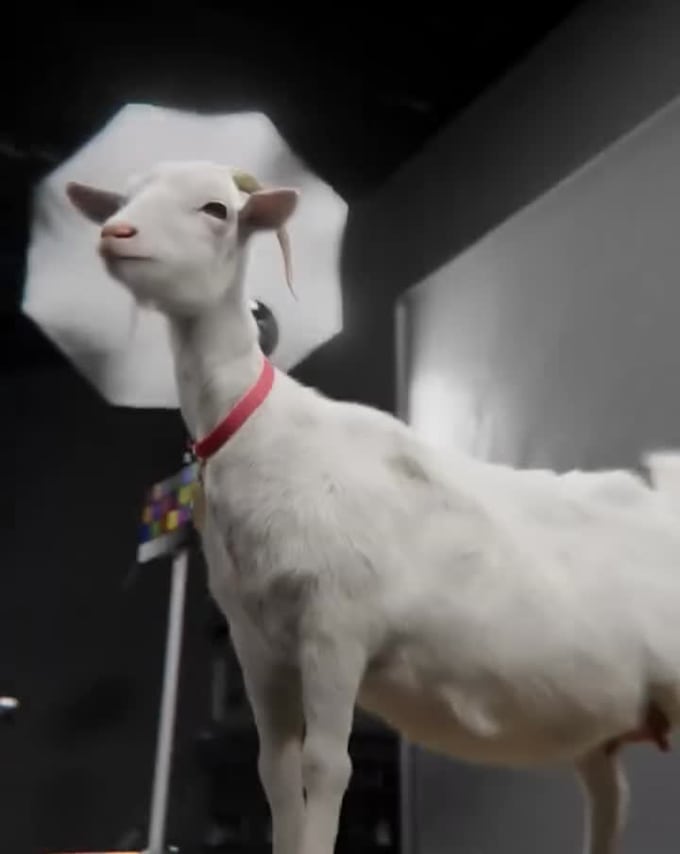 Integrate realistic 3d animal animation with fur, xgen rigging, vfx ...