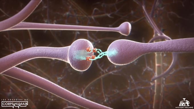 Create 3d medical animation for medical equipment or procedure by ...