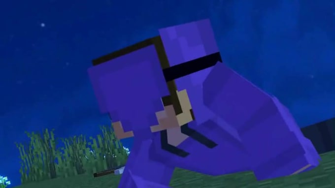Create a custom minecraft animation for you by Hilallimo | Fiverr