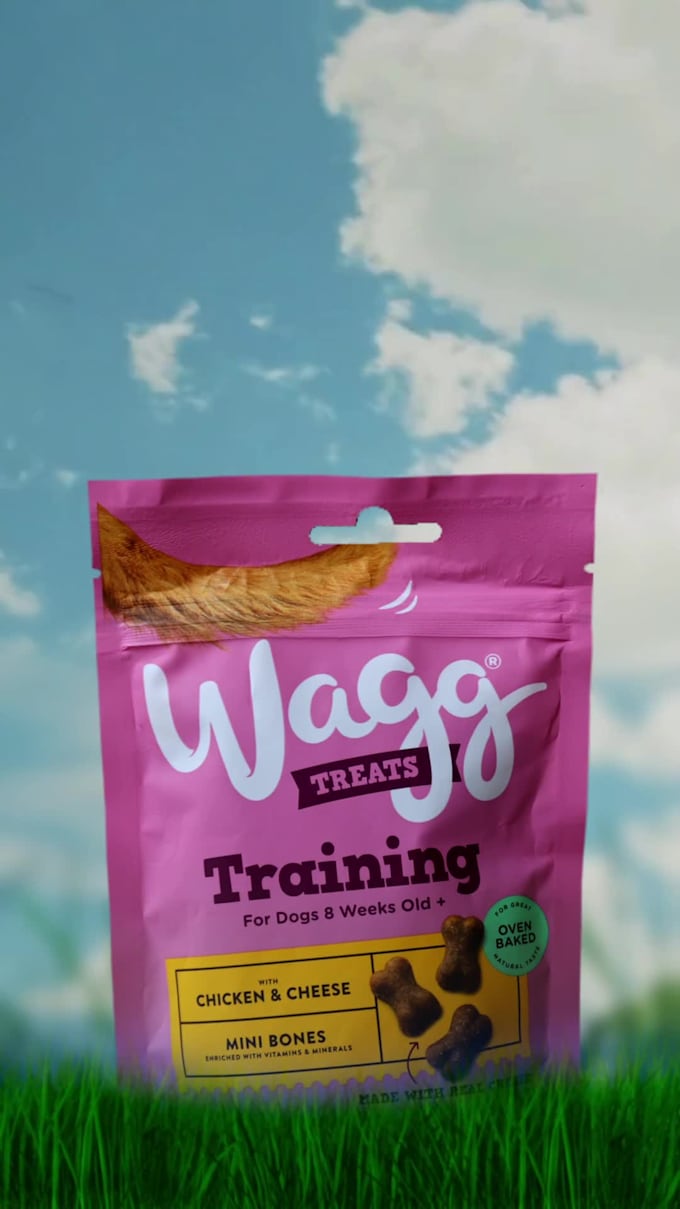 Create a short animated video for your product by Mediabyje | Fiverr