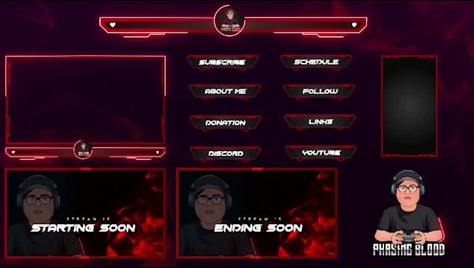 Design your twitch logo, overlays, and screens for stream by ...