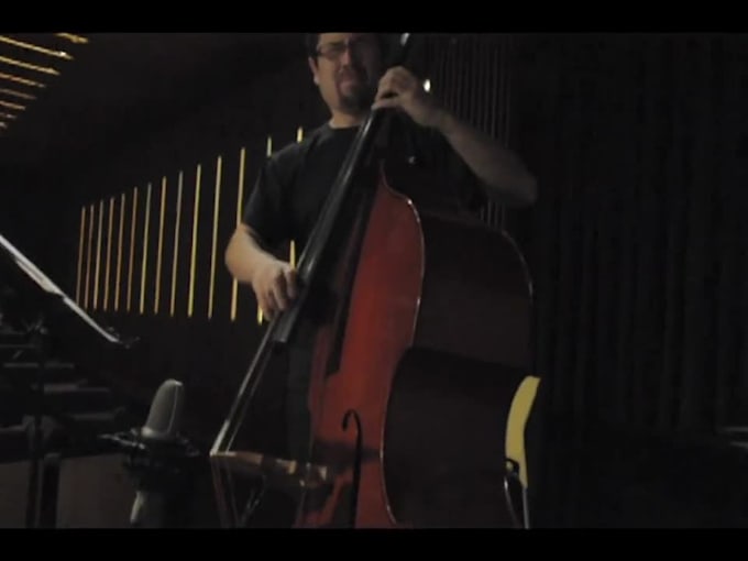 Record a double bass for your song by Cordobass | Fiverr