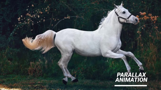 Create 3d parallax slideshow animation video from your still image by ... Create 3d parallax slideshow animation video from your still image by ...