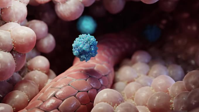 Create scientifically accurate 3d medical animation by Hasibjani | Fiverr