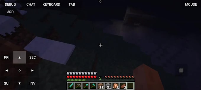 Create minecraft 3d animation by Karennolen | Fiverr