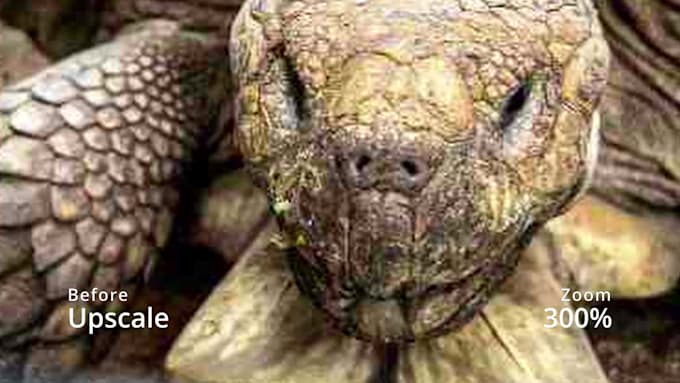 Offer professional photo upscale to 4k 8k using ai get high quality ...