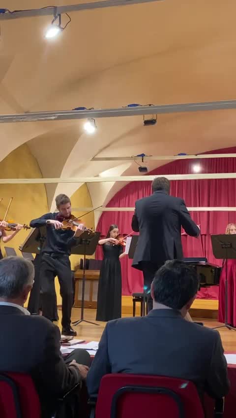 Teach you how to study violin effectly to reach your objectives by ...