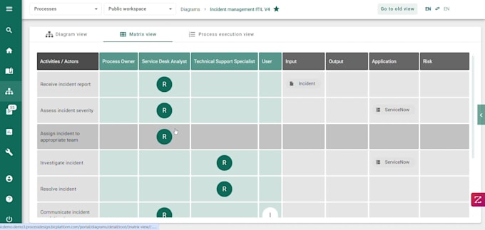 Provide professional process and it maps using professional bpm and eam ...