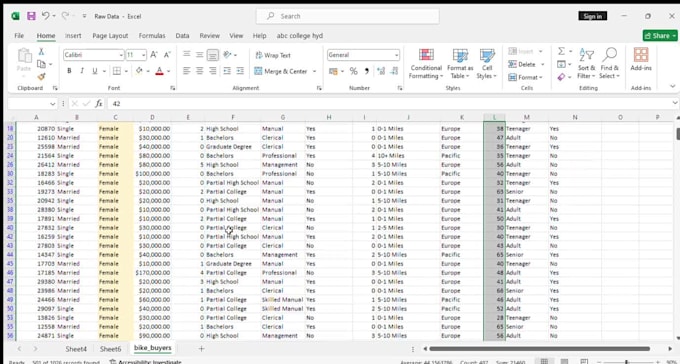Clean excel spreadsheet, excel data cleaning, data cleanup by Azhanxcel ...