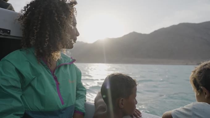 Add audio description, described video to your video project by ...