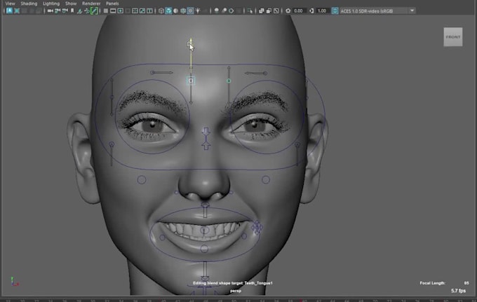 Be 3d blender rigger, rig 3d model for stream, facial rig for animaze ...