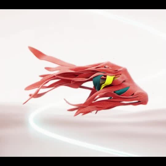 3d shoe animation, 3d rendering, 3d footwear modeling, and shoe ...