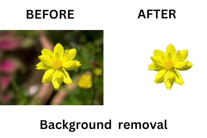 Remove backgrounds from any photo professionally by Chanukauthum | Fiverr