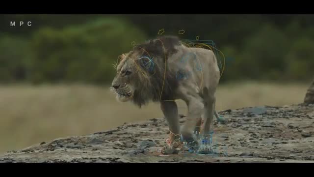 Make 3d animal models, animal render with rig and animation by Mac ...