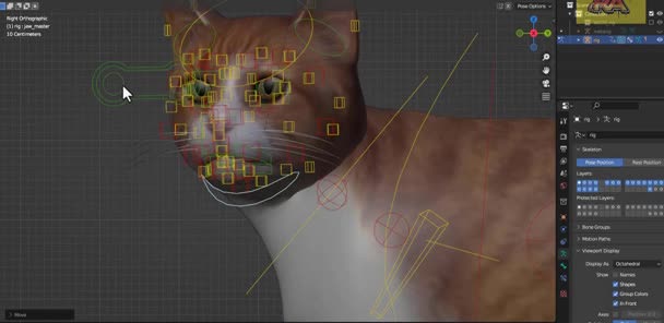 Advance 3d blender rigger,rig 3d for animaze,3d character,ik fk,arkit ...