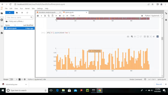 Do data cleaning, visualization and analysis by Aqibaziz333 | Fiverr