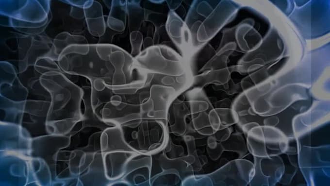 Write your next hit song by Chase_rodriguez | Fiverr