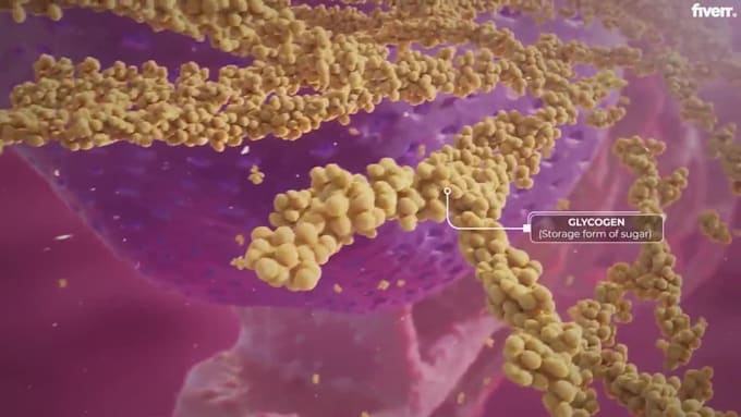 Create aesthetic 3d medical animation, medical illustration with 3d ...