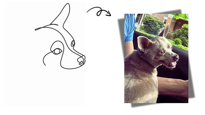 Custom animated line art in 24 hours by Adnankhan650 | Fiverr