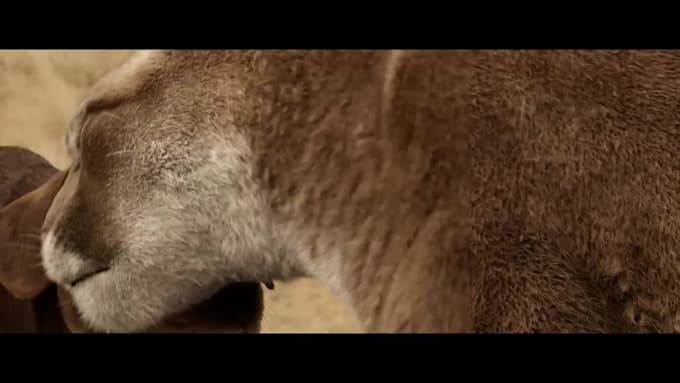 Do realistic 3d animal animation, cgi 3d animal model, 3d rig, fu, xegn ...