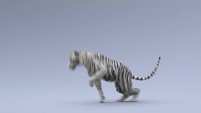 Create integrate 3d animal animation, 3d animal model, 3d animal ...