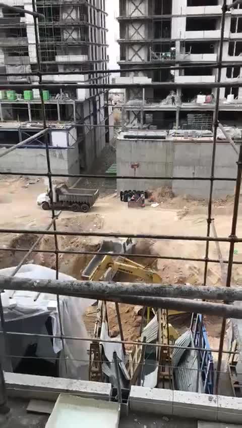 Create professional project schedules using msp by Pouya_abbasi_ | Fiverr