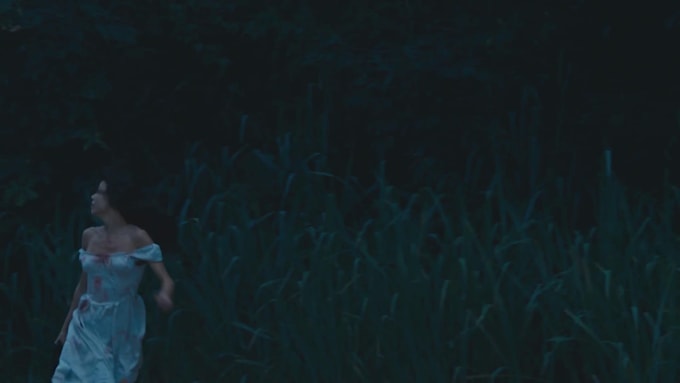 Create professional documentary videos with documentary style editing ...