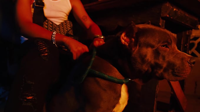 Edit music video professionally by Essevisual10 | Fiverr