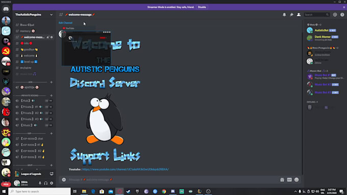 Make good looking discord servers by Xiliris | Fiverr
