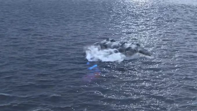 Create great water fx simulation for your video, vfx simulation by ...