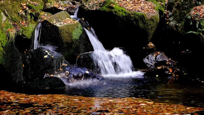 Create meditational and relaxing natural videos and ambient videos for ...