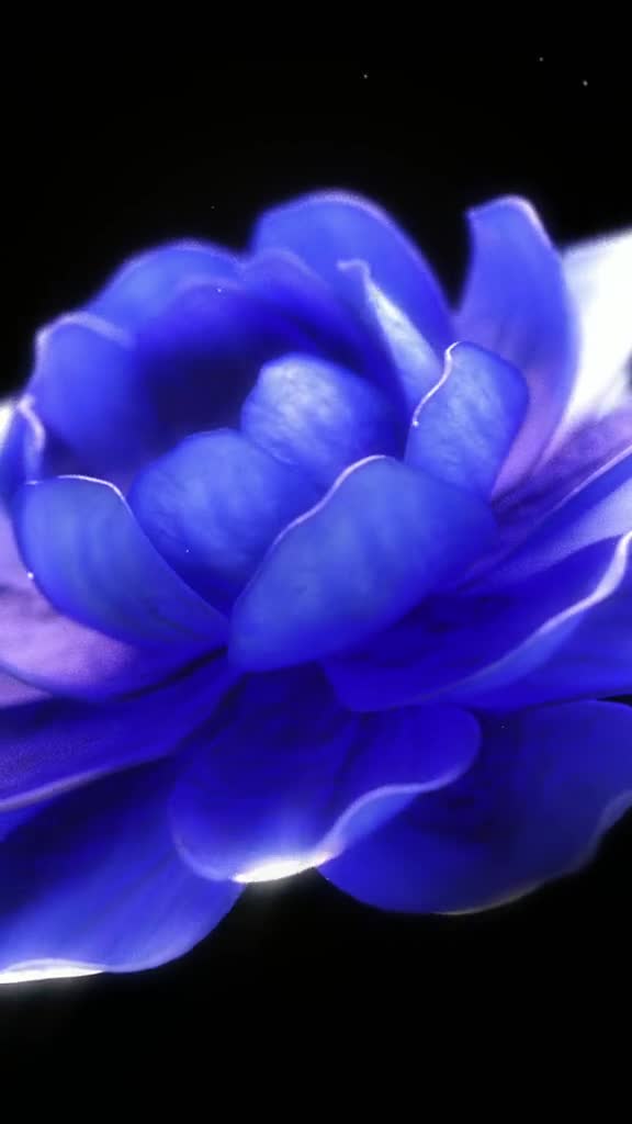 Do 3d flower animation,3d plant animation, flower animation, 3d flower ...