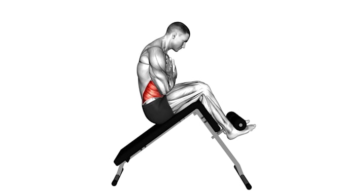 Create workout animations videos about anatomy of fitness and ...
