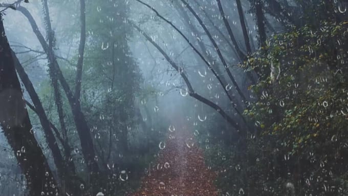 Create rain video loop for youtube 10 hours by Jackyvo236 | Fiverr
