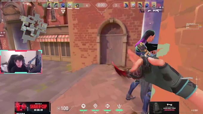 Create animated valorant streaming pack for twitch and youtube by ...