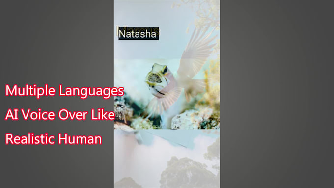 Create high quality ai voice over using elevenlabs by Smanaqvi88 | Fiverr