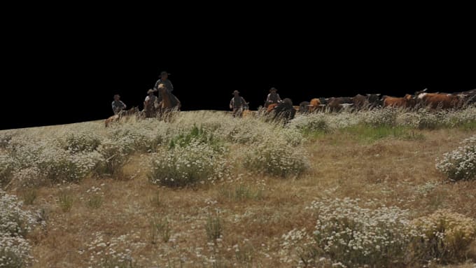 Remove green screen, chroma key, mask, and rotoscope by Munibahmadvfx ...