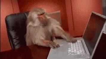 Develop quality software in cpp and csharp, html, php and solve problems by Skriper | Fiverr