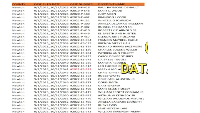 Do data entry, excel typing, copy paste, lead generation by Likhon ...
