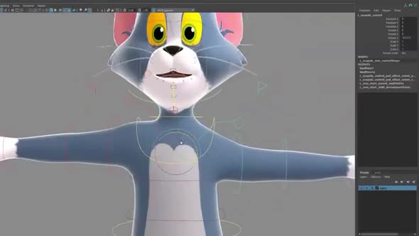 Auto pro rig, animaze avatar body rig, rokoko rig, expressions,ik fk ...