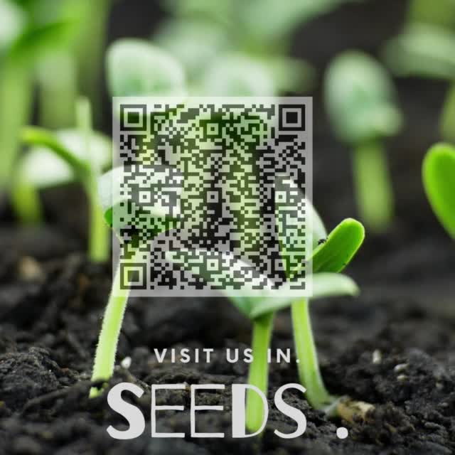 Animated qr codes for your business or company by Carlocutor | Fiverr