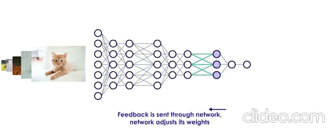 Train deep learning models and fine tune pretrained models by Jamsahir | Fiverr